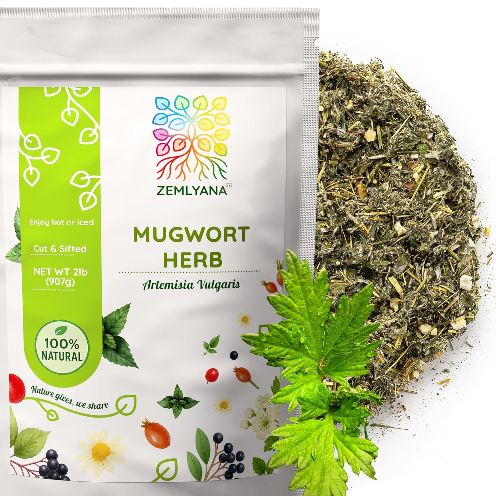 Mugwort tea for relaxation