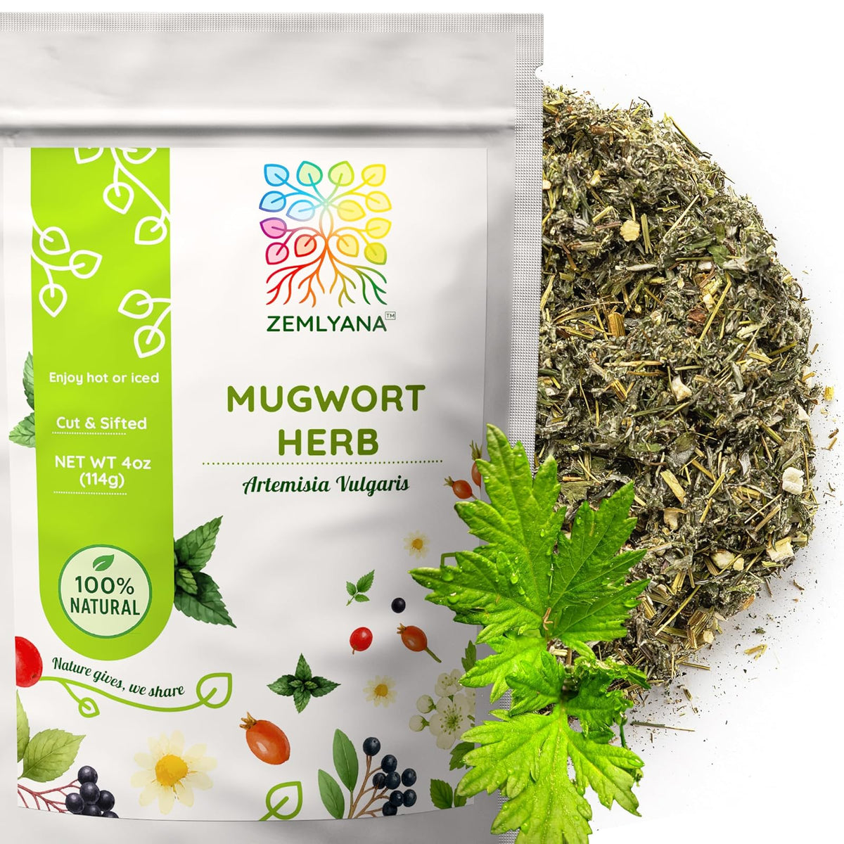 Mugwort tea for relaxation