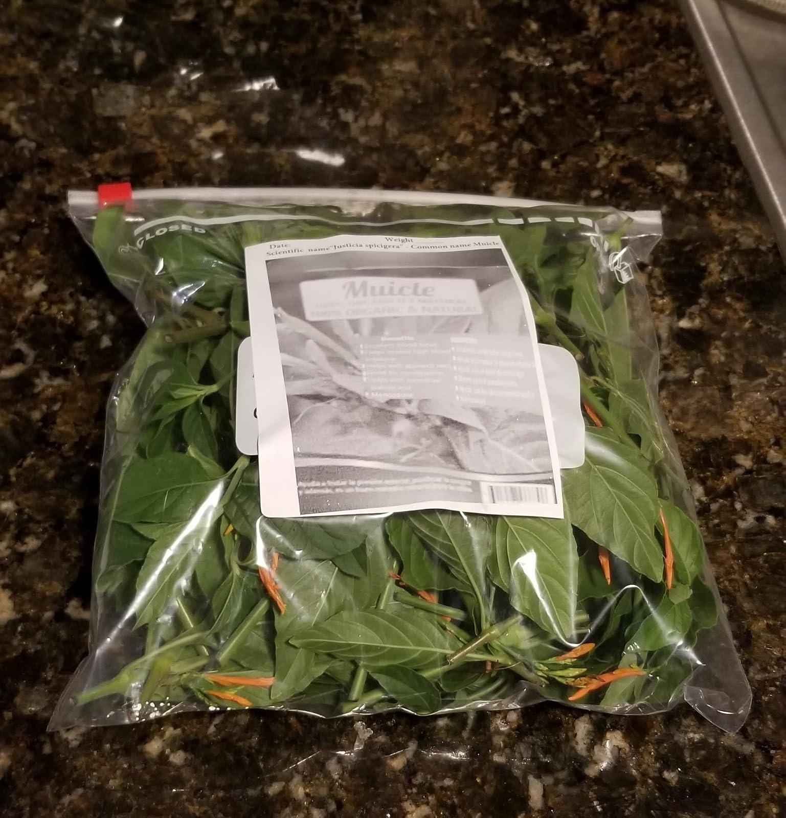 Muicle Mexican Honeysuckle herbal tea benefits