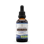 Muira Puama tincture for vitality