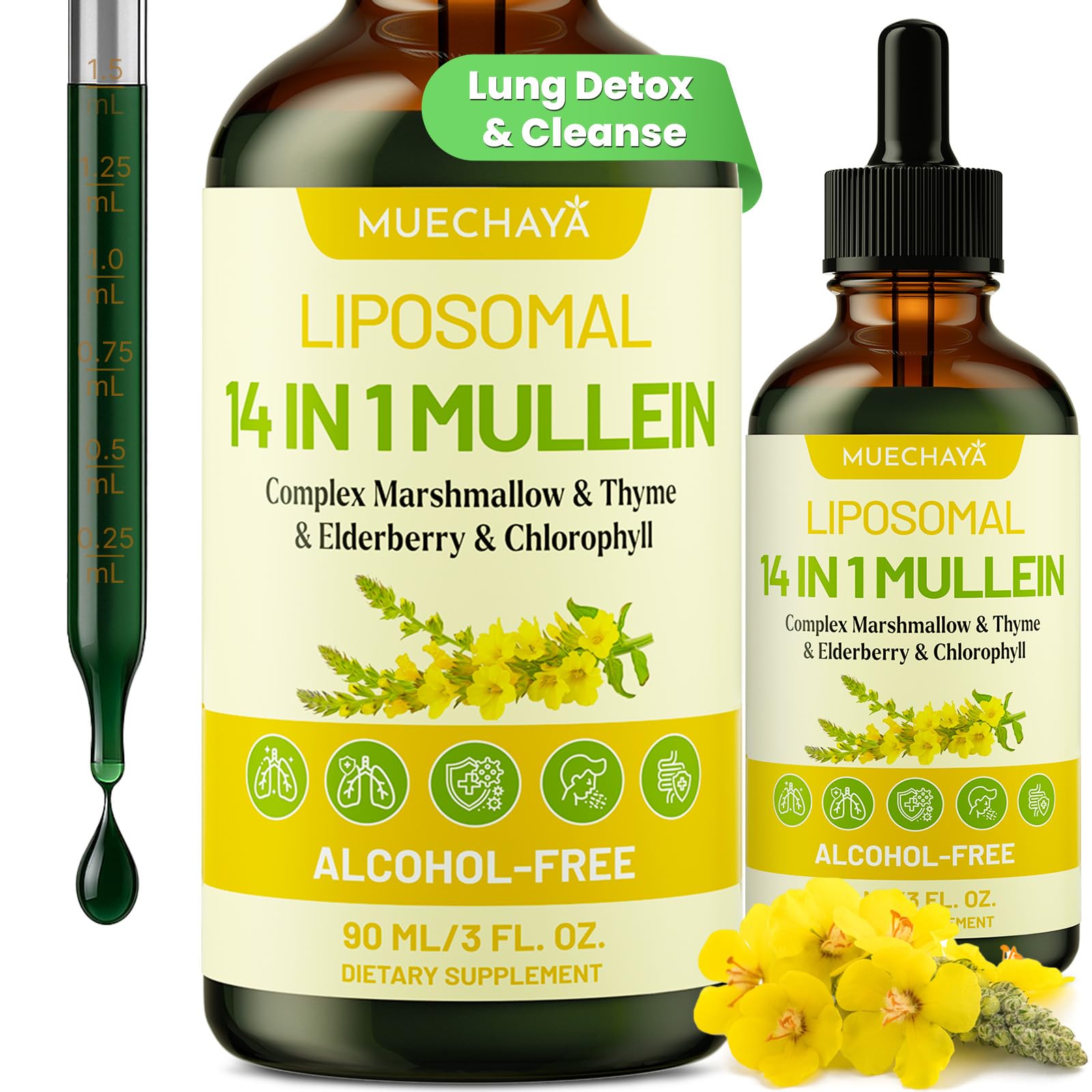 Mullein 14 in 1 herbal drops