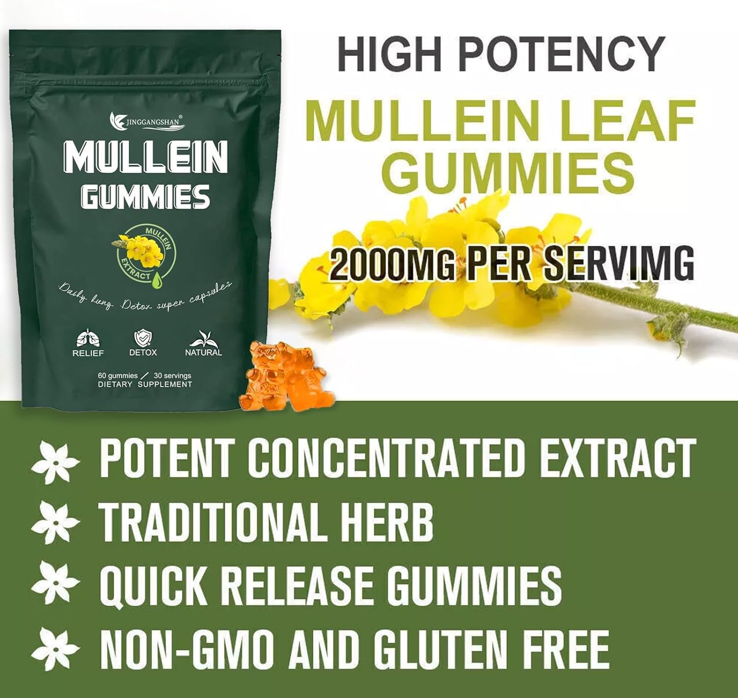 Mullein and echinacea for immune support