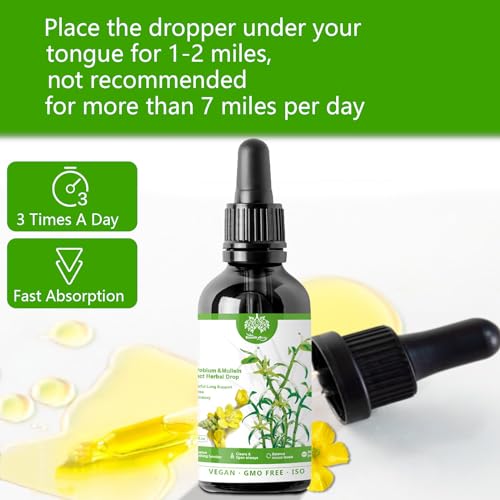 mullein and echinacea for respiratory health