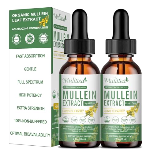 mullein and elderberry detox benefits