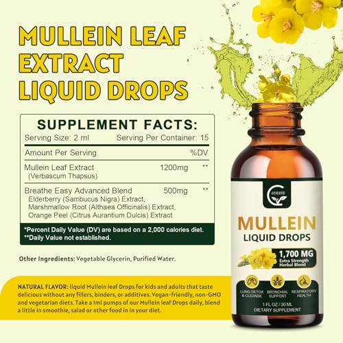 mullein and elderberry wellness blend