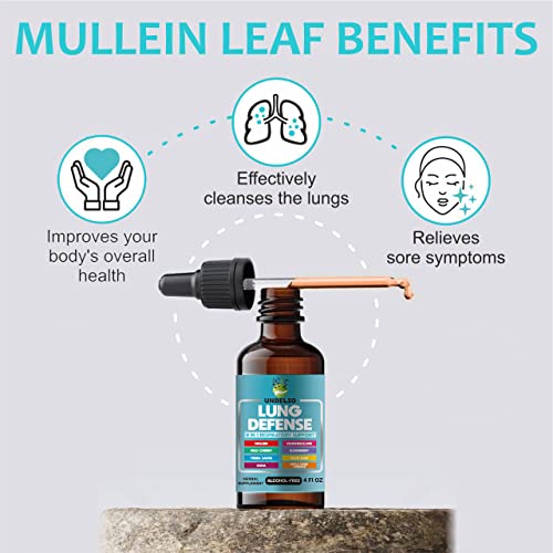 mullein and marshmallow herbal remedy