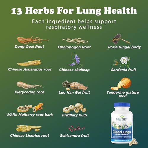 Mullein-based support for breathing
