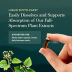 mullein capsules for better breathing