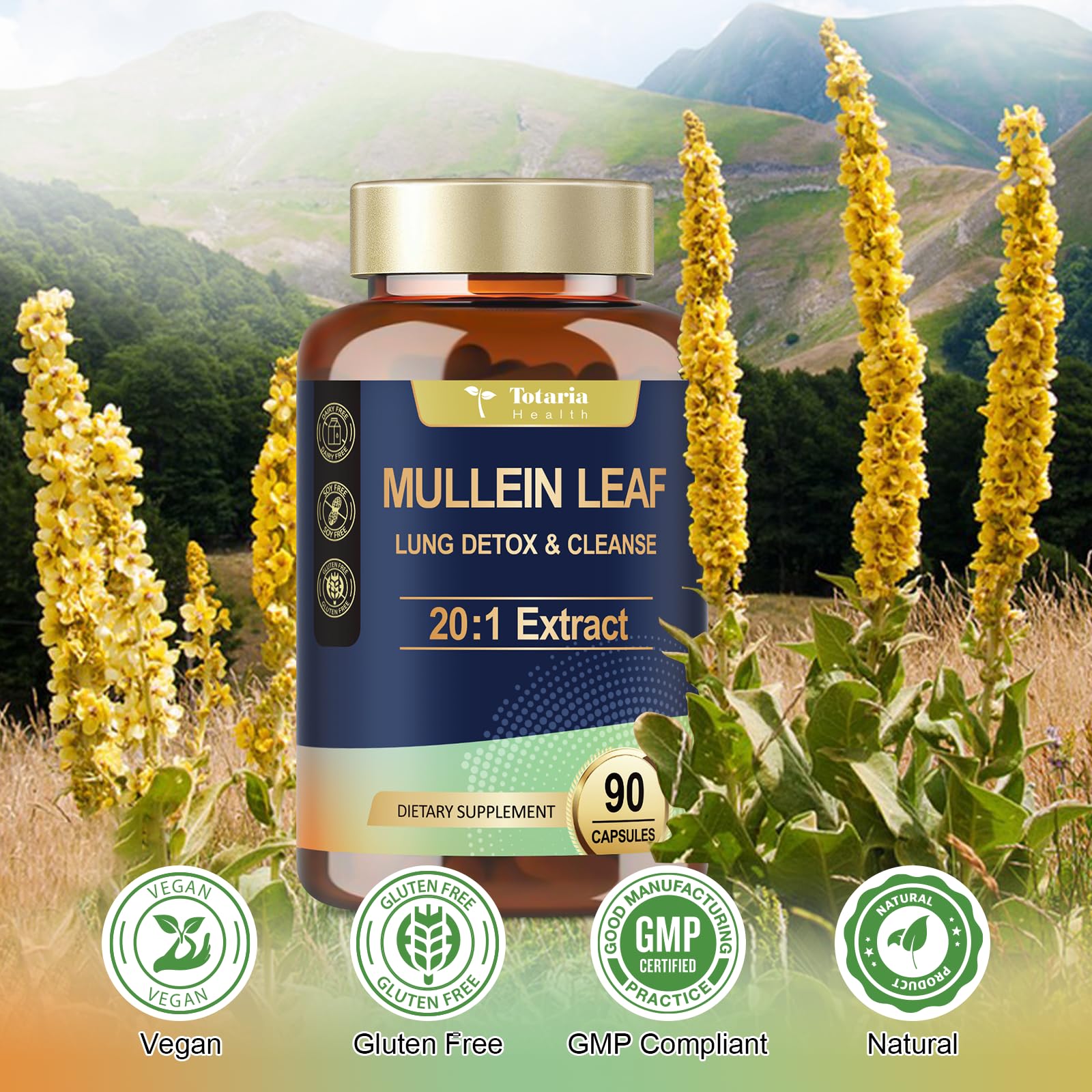 Mullein capsules for immune boost