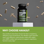 Mullein capsules for immune support