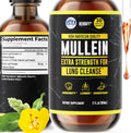 mullein capsules for lung health