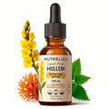 Mullein capsules with chlorophyll benefits