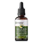 Mullein chlorophyll liquid drops benefits