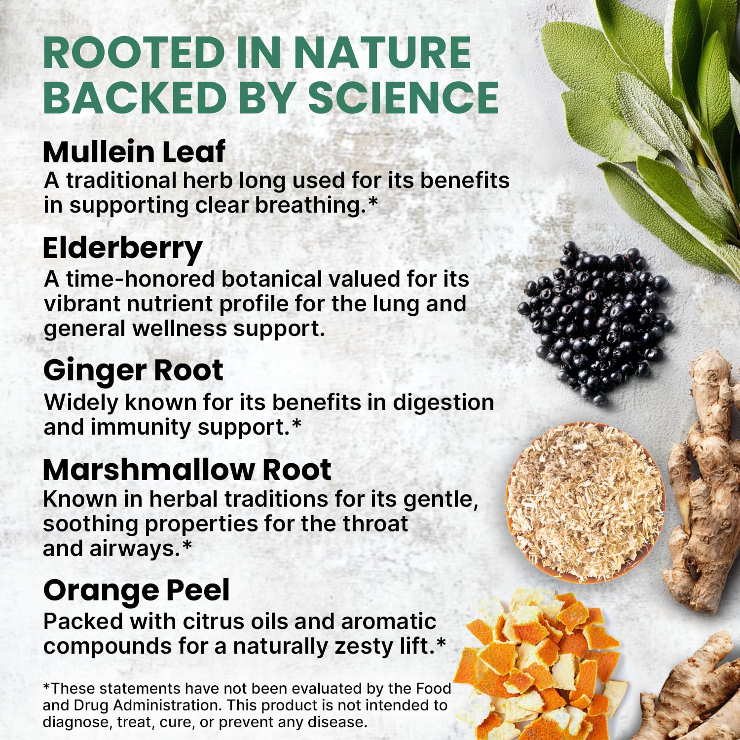 mullein drops 5-in-1 benefits