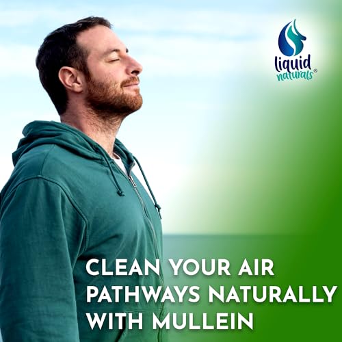 mullein drops for enhanced lung function