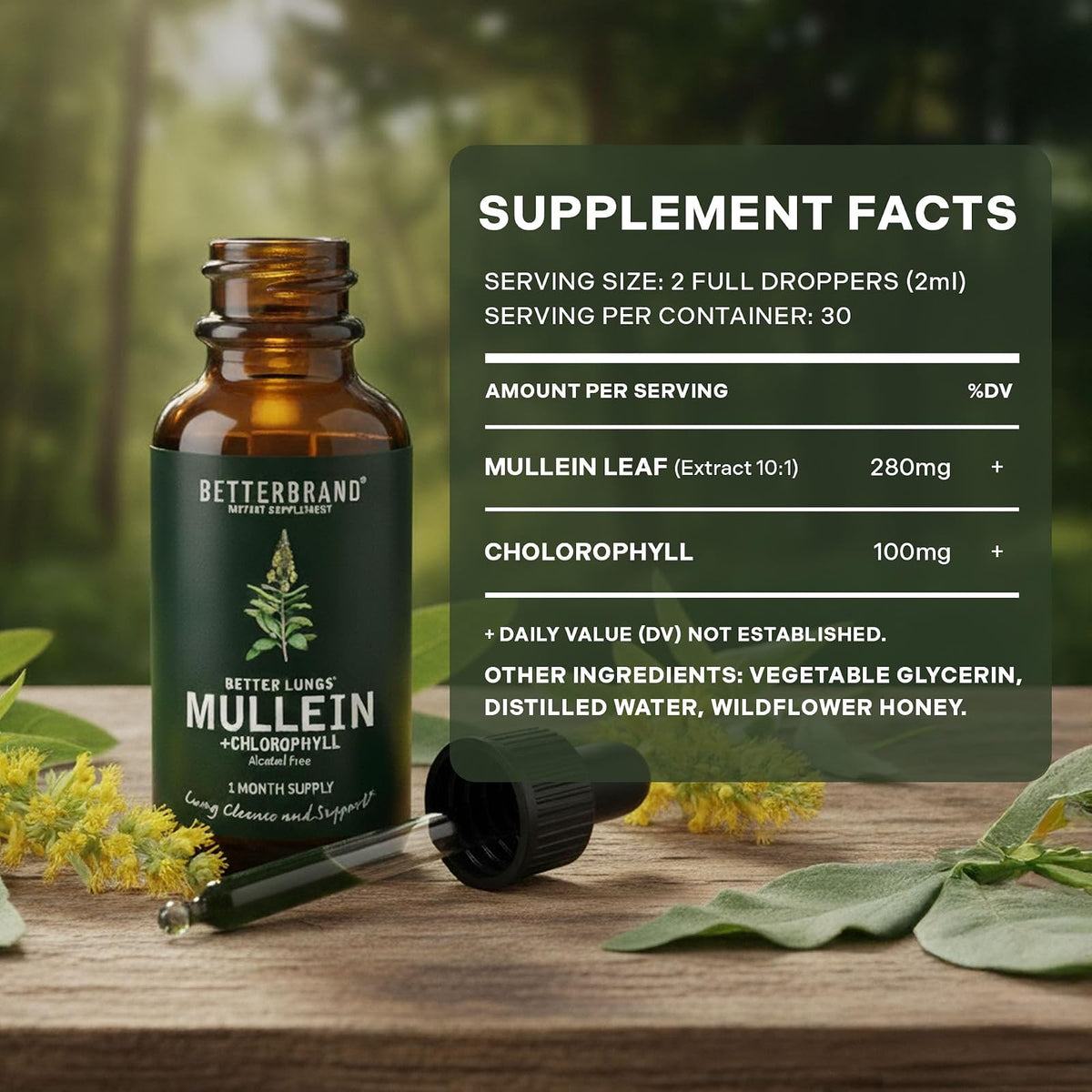 Mullein Drops for everyday health