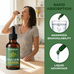 Mullein drops for immune health