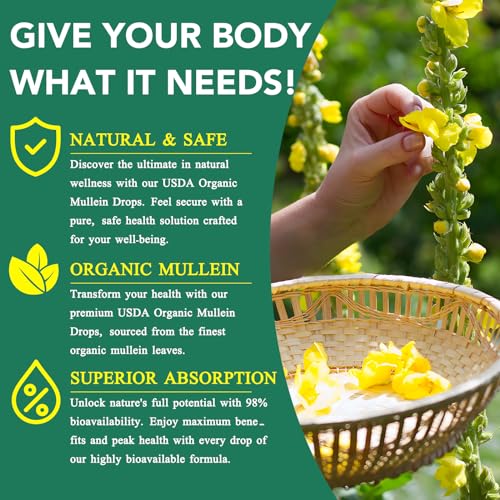 mullein drops for lung cleansing