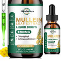 mullein drops for lung health