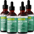 Mullein drops for lung support