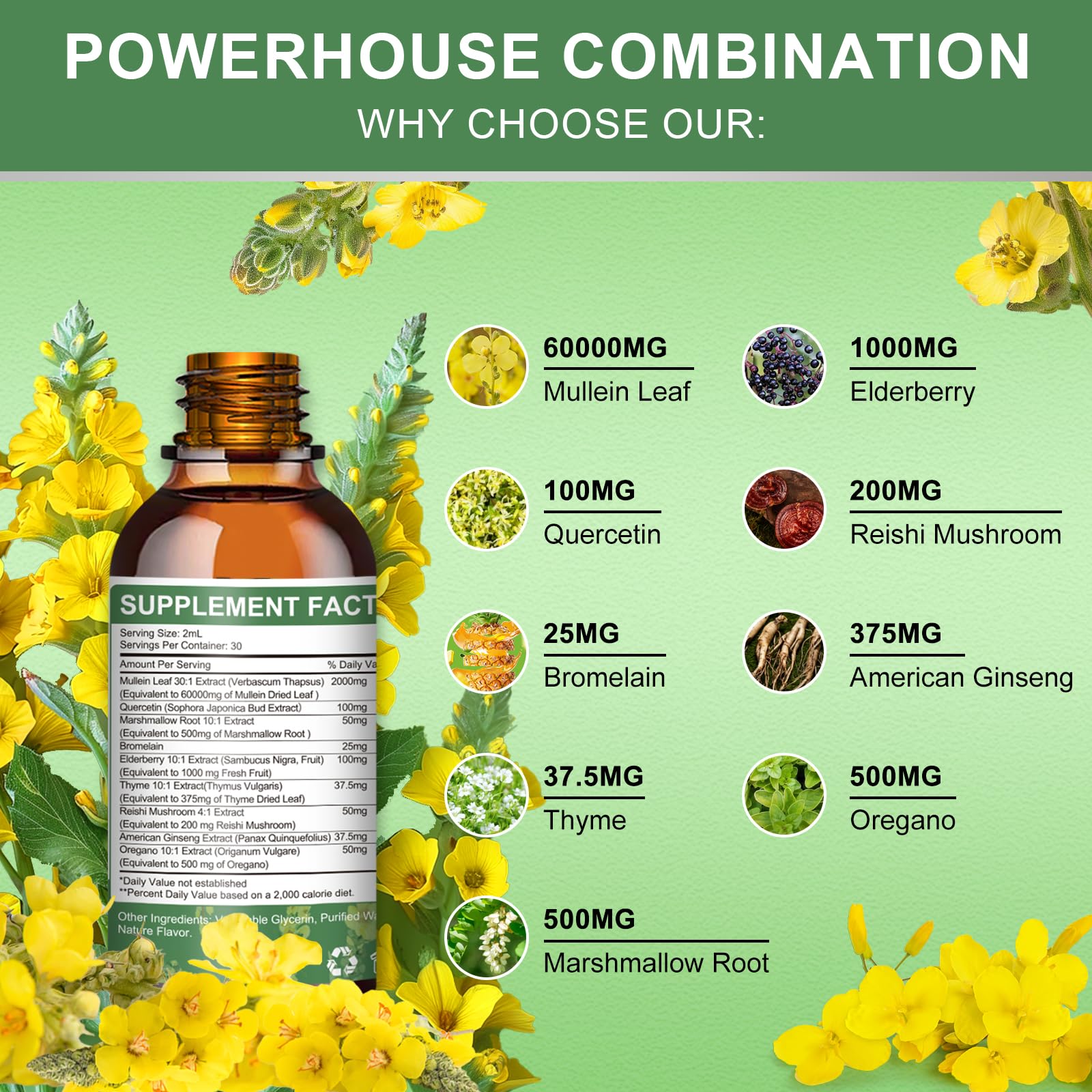 mullein drops for respiratory health