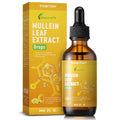 Mullein drops for respiratory health