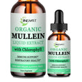 mullein drops for respiratory health
