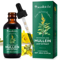 mullein drops for respiratory health