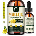 mullein drops for respiratory health