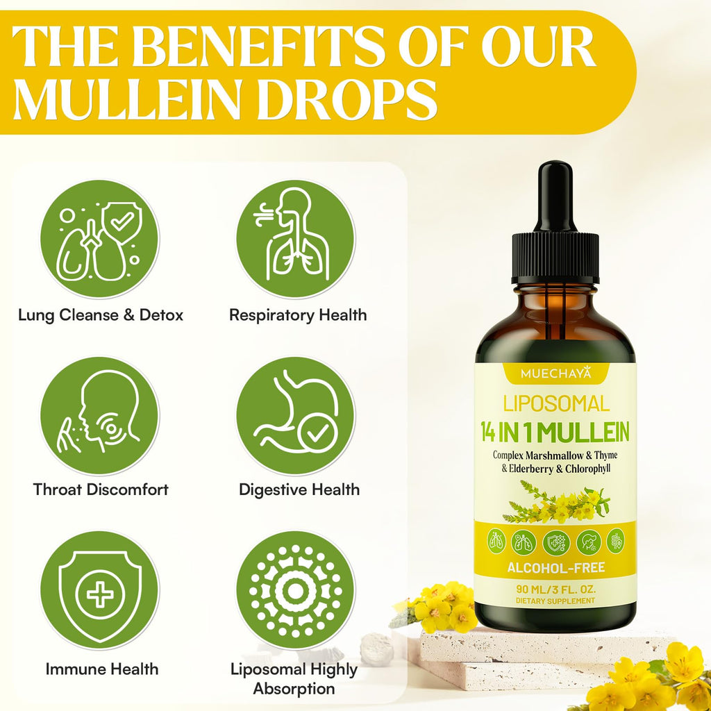 Mullein drops for respiratory support