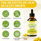 Mullein drops for respiratory support