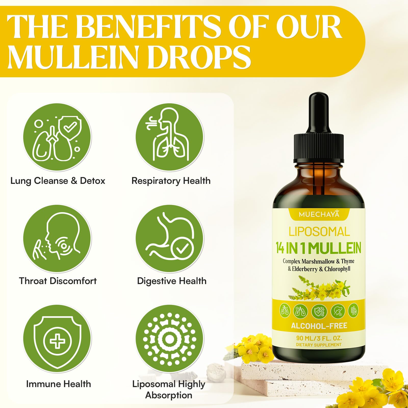 Mullein drops for respiratory support
