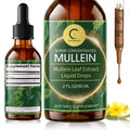 mullein drops for respiratory support