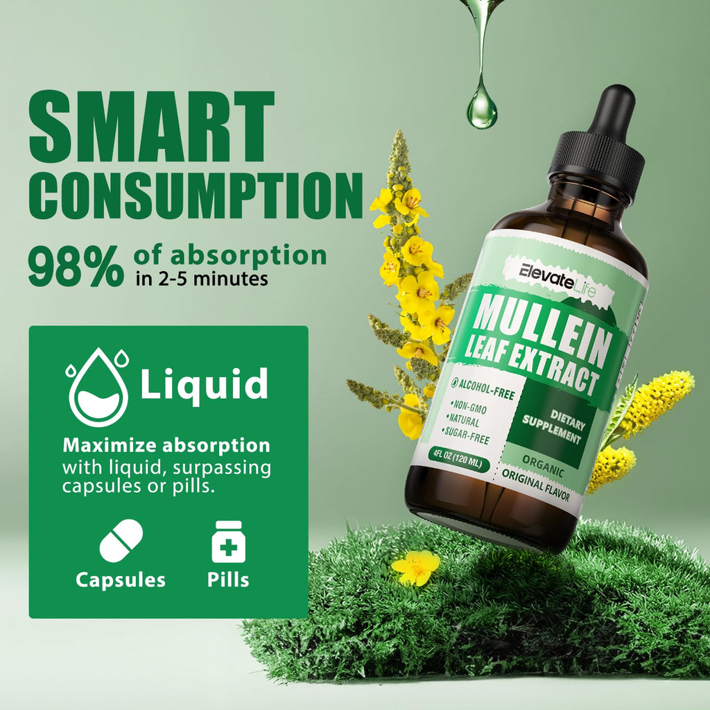 Mullein drops for respiratory wellness