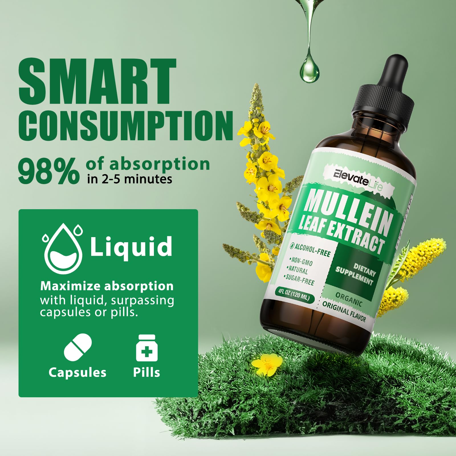 Mullein drops for respiratory wellness
