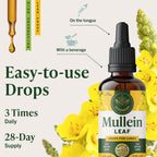 Mullein Drops for seasonal allergy relief