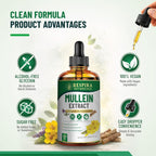Mullein drops for seasonal support