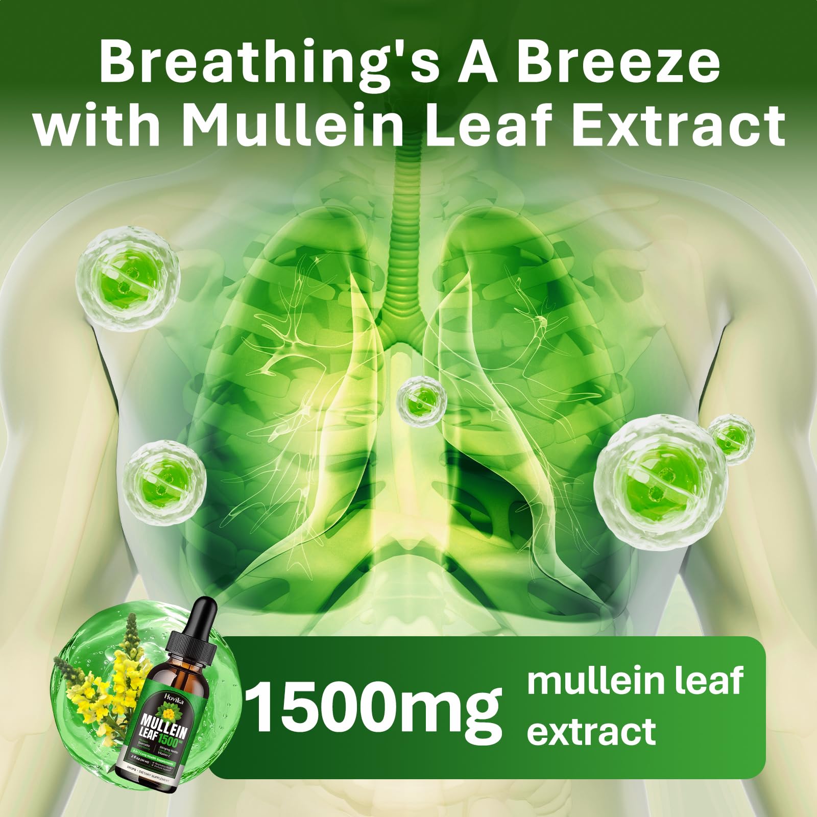 mullein drops for seasonal wellness