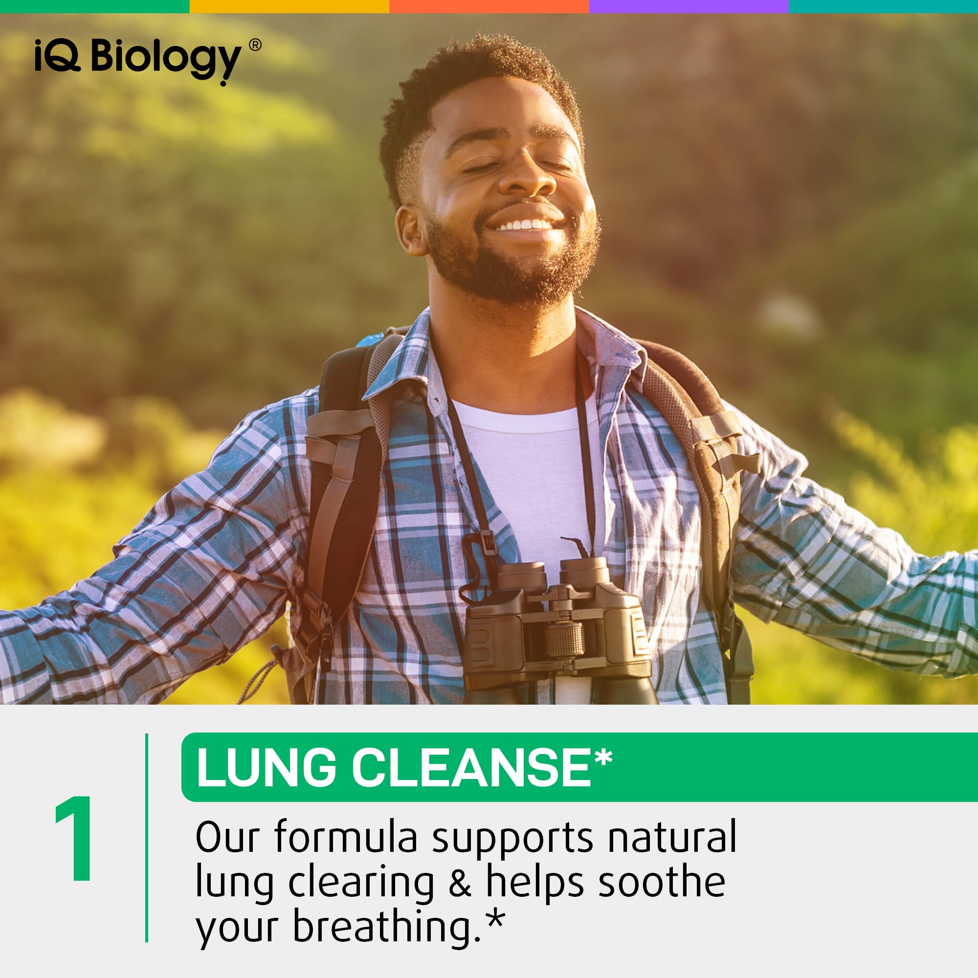 mullein drops for smokers' health