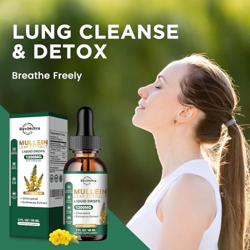 mullein drops with chlorophyll benefits