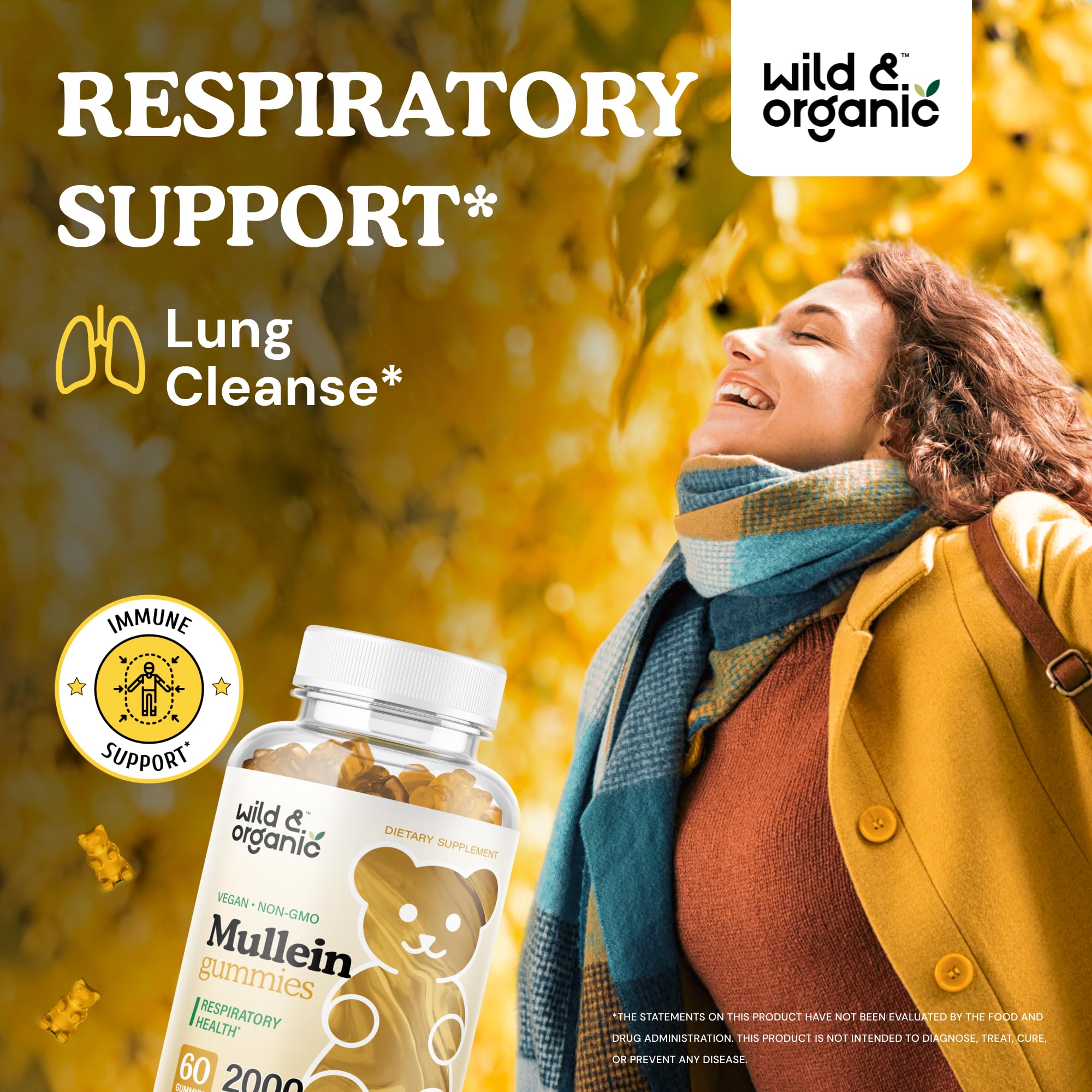 mullein extract benefits for wellness