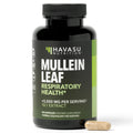 mullein extract capsules for lung health