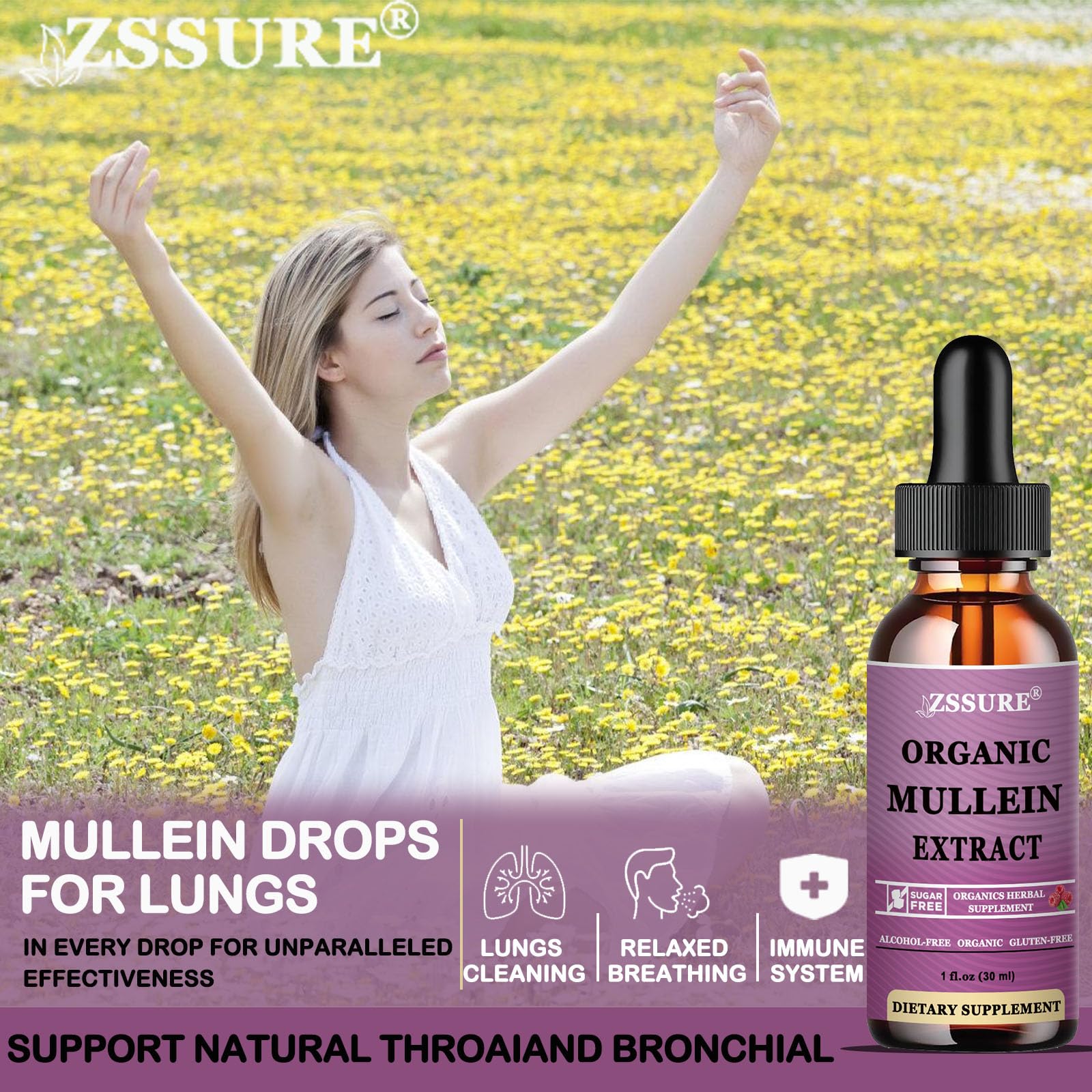 Mullein extract for better breathing