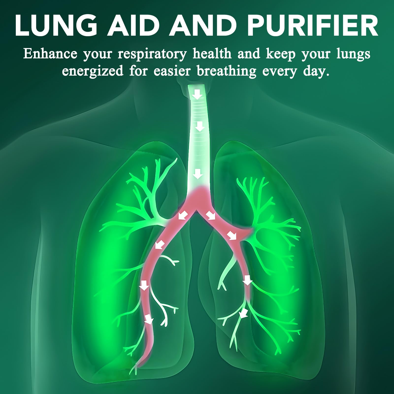 mullein extract for clean breathing