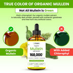 mullein extract for clear breathing