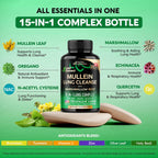 Mullein extract for detoxification