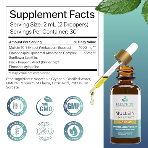 mullein extract for digestive health