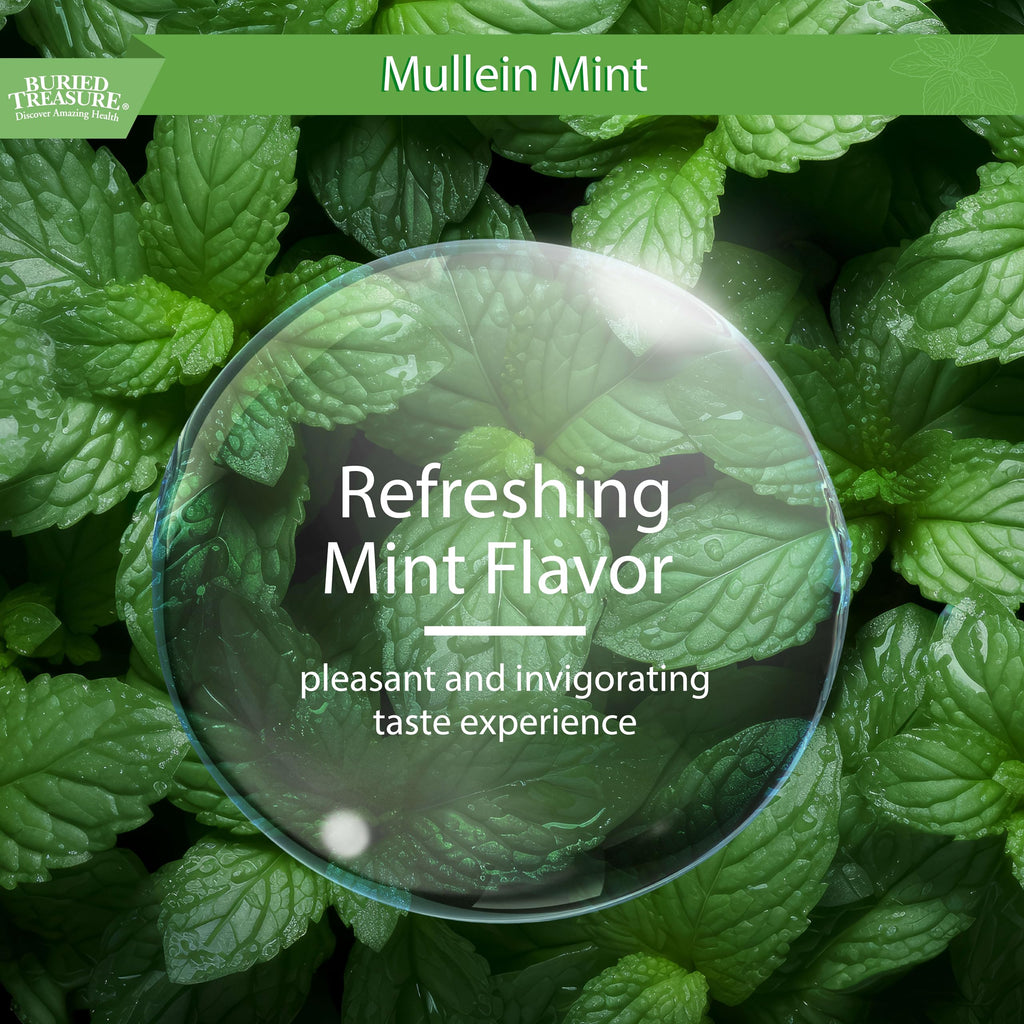 mullein extract for herbal wellness