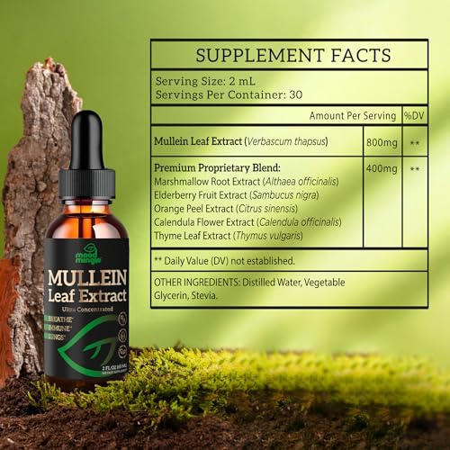 mullein extract for holistic health