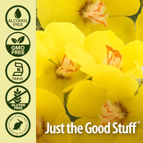 mullein extract for immune health
